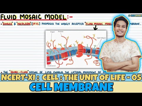 Cell: The Unit of Life| Lec 5- Cell Membrane| Class 11| NEET| Neetology ...