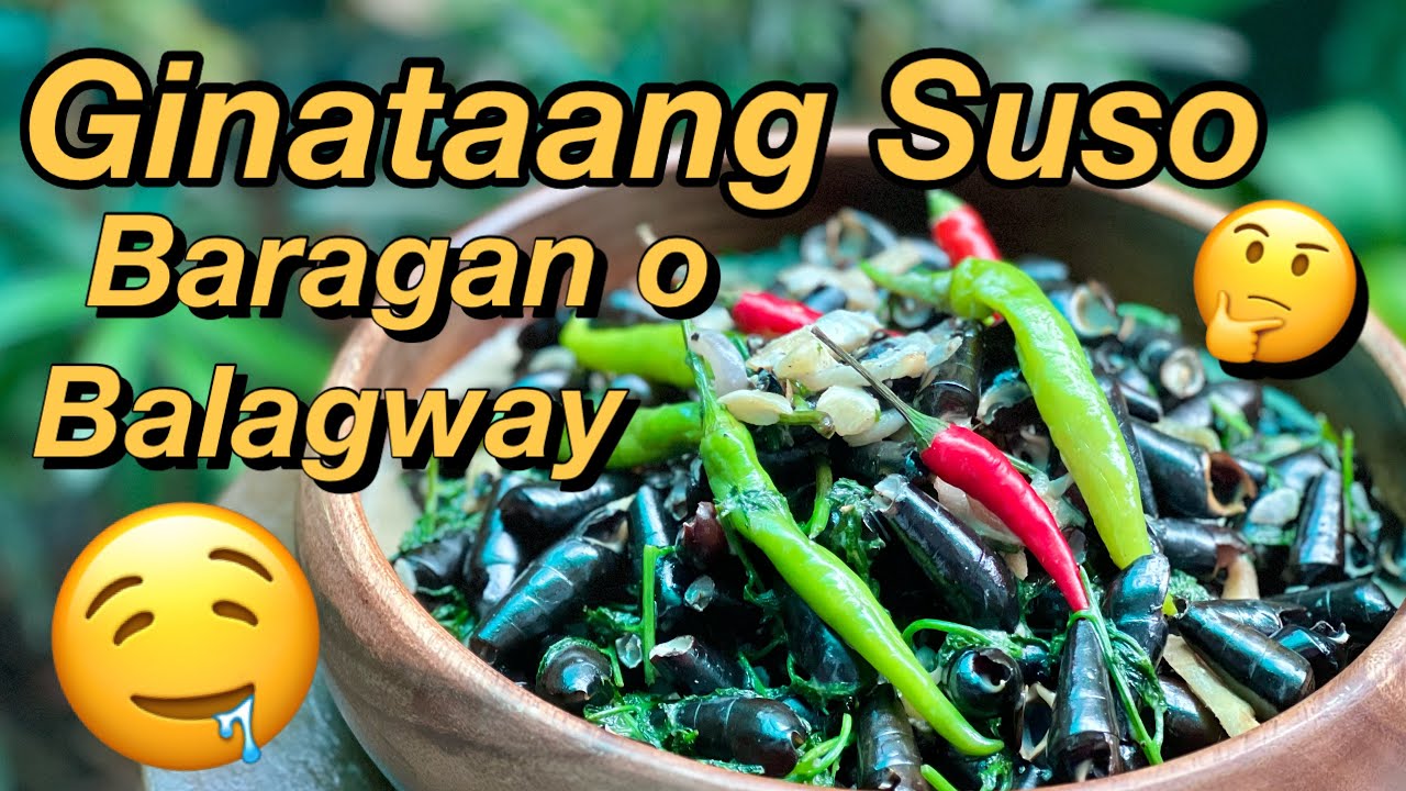 Ginataang Suso para sa Pananghalian🤤😋| Baragan o Balagway?🤔 - YouTube