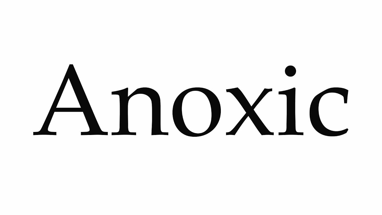 How to Pronounce Anoxic - YouTube