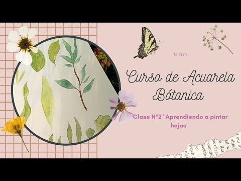 Curso de acuarela botánica Ep 2 \