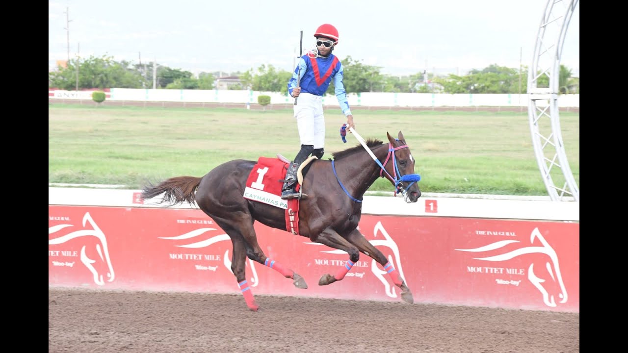 JAMAICA RACING: Essential Quality In Gate To Wire Winston Griffiths ...