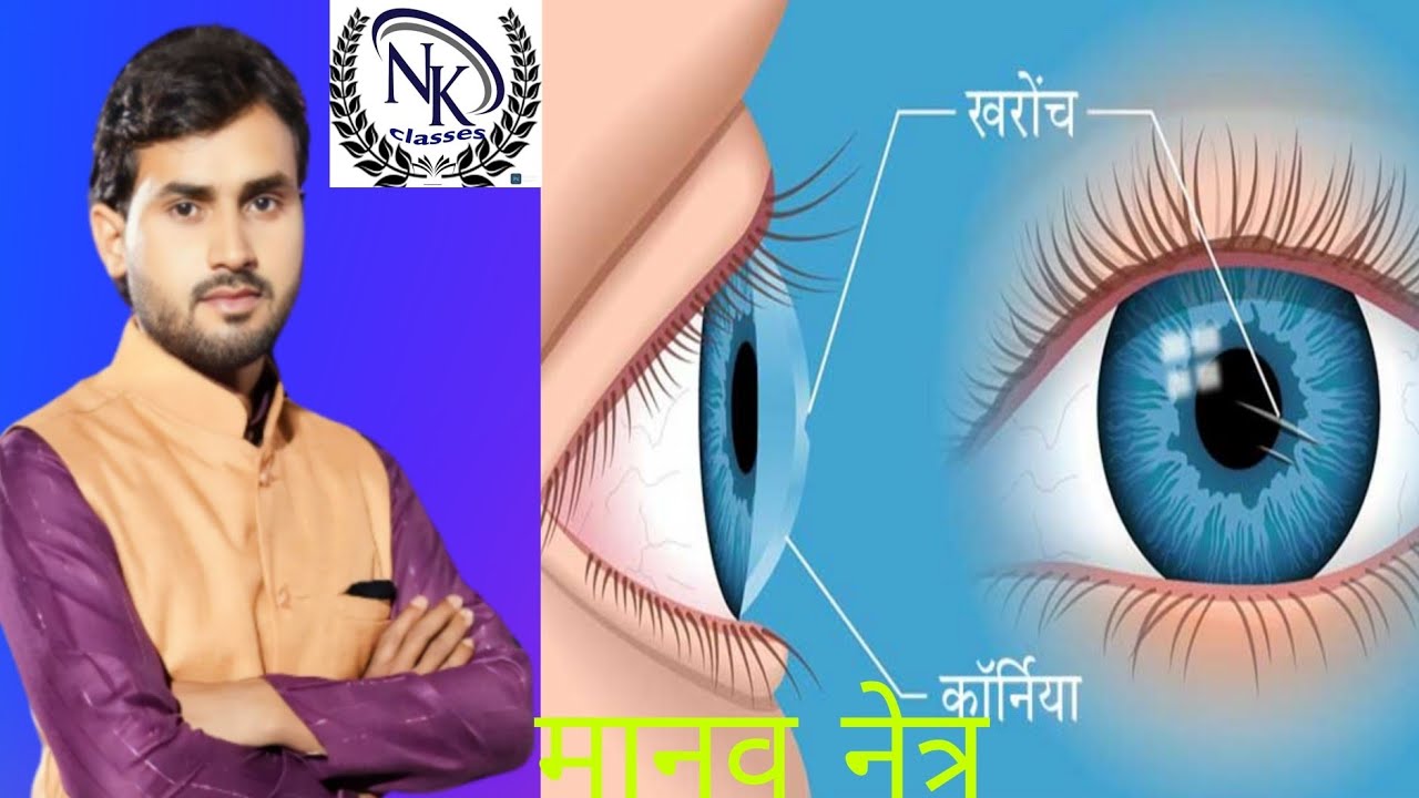 manv netra # मानव नेत्र # आँख कैसे काम करता है - YouTube