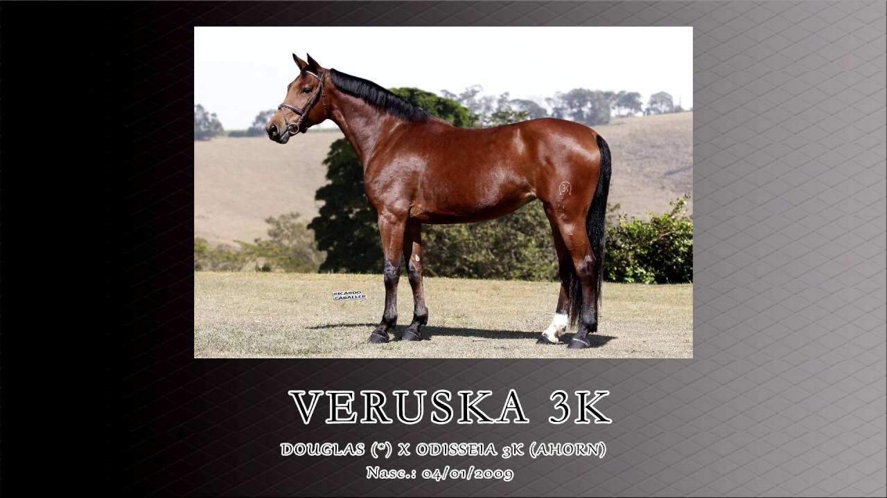 21 VERUSKA 3K - YouTube