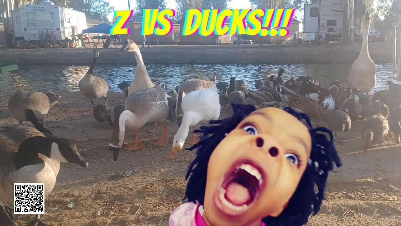 Kid versus the WILD! (Full-time RVing in California) - YouTube