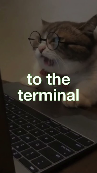 Linux Cat Command Explained Linux Linuxcommands Learnlinux Shorts Youtube