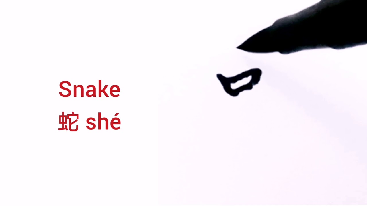 How to say and write SNAKE in Chinese (蛇 shé) - YouTube