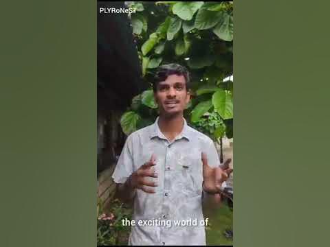 Intro Of PLYRoNeST - YouTube