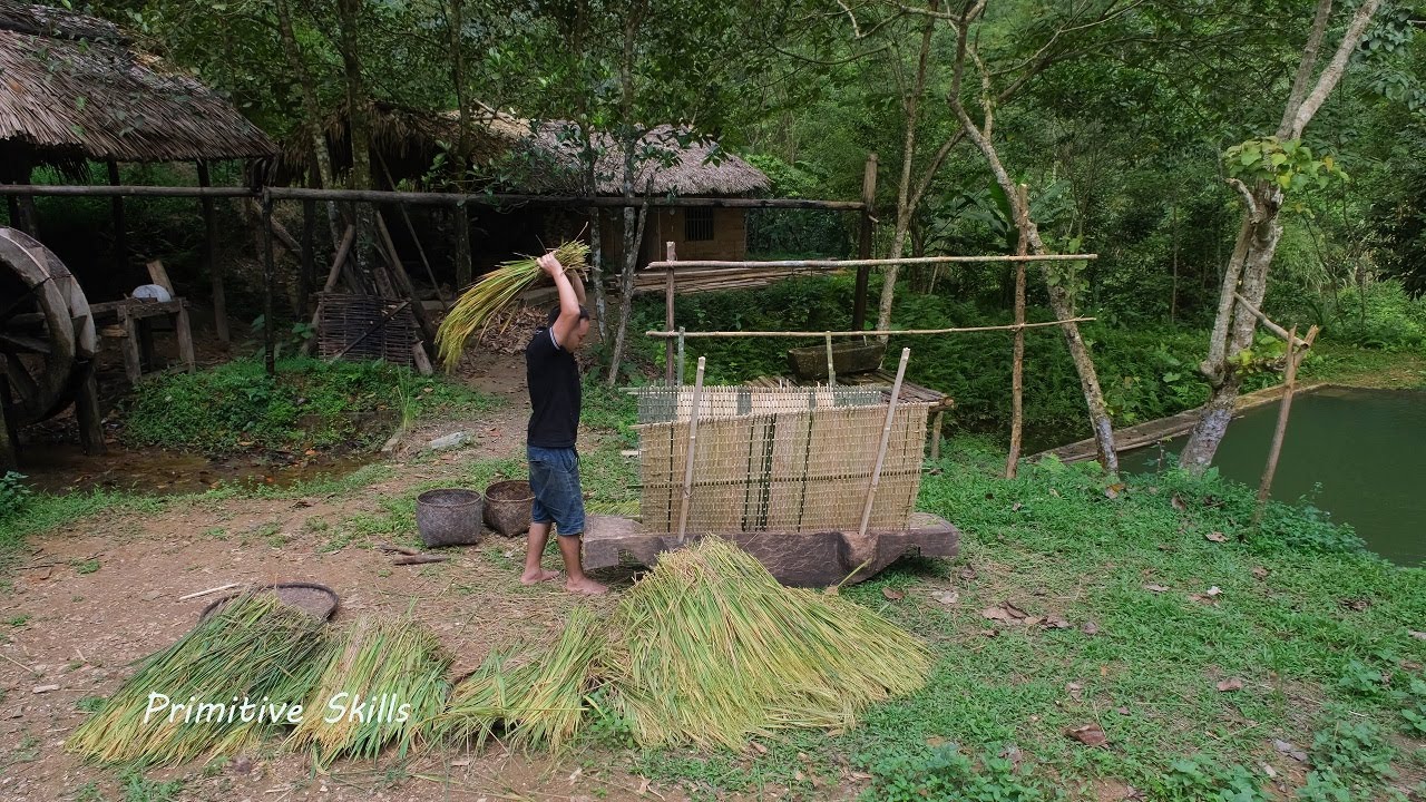 Thresh rice by hand on wooden troughs. Primitive Skill (ep14) - YouTube
