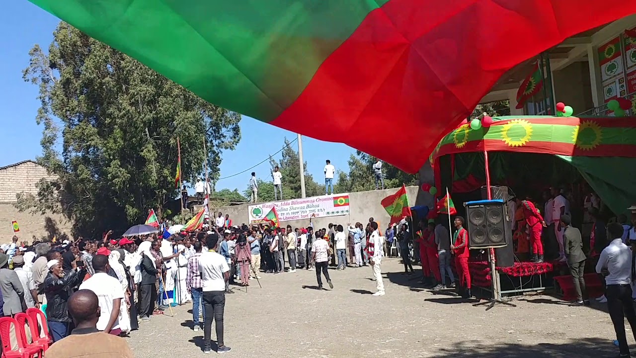 Alaaba Oromoo - YouTube