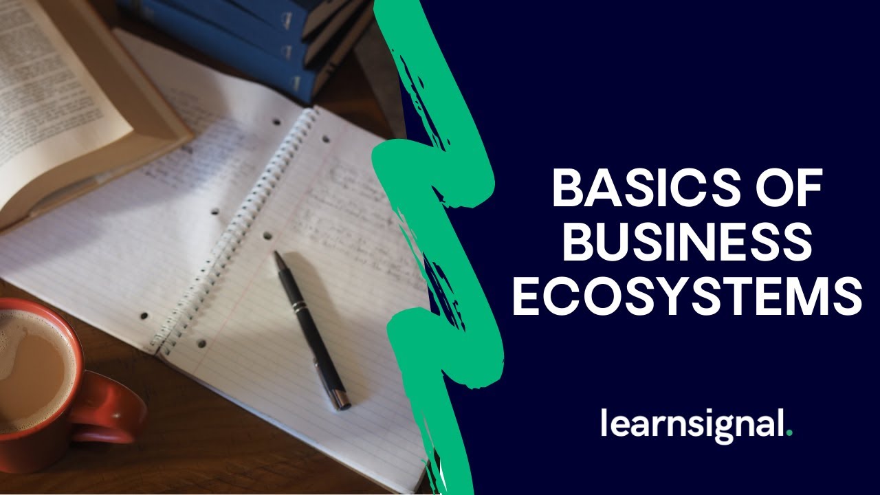 What is a Business Ecosystem? | Learnsignal - YouTube