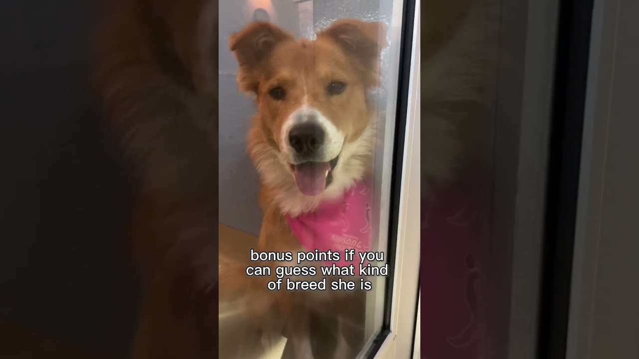 What Should Her Name Be YouTube what-should-her-name-be-youtube