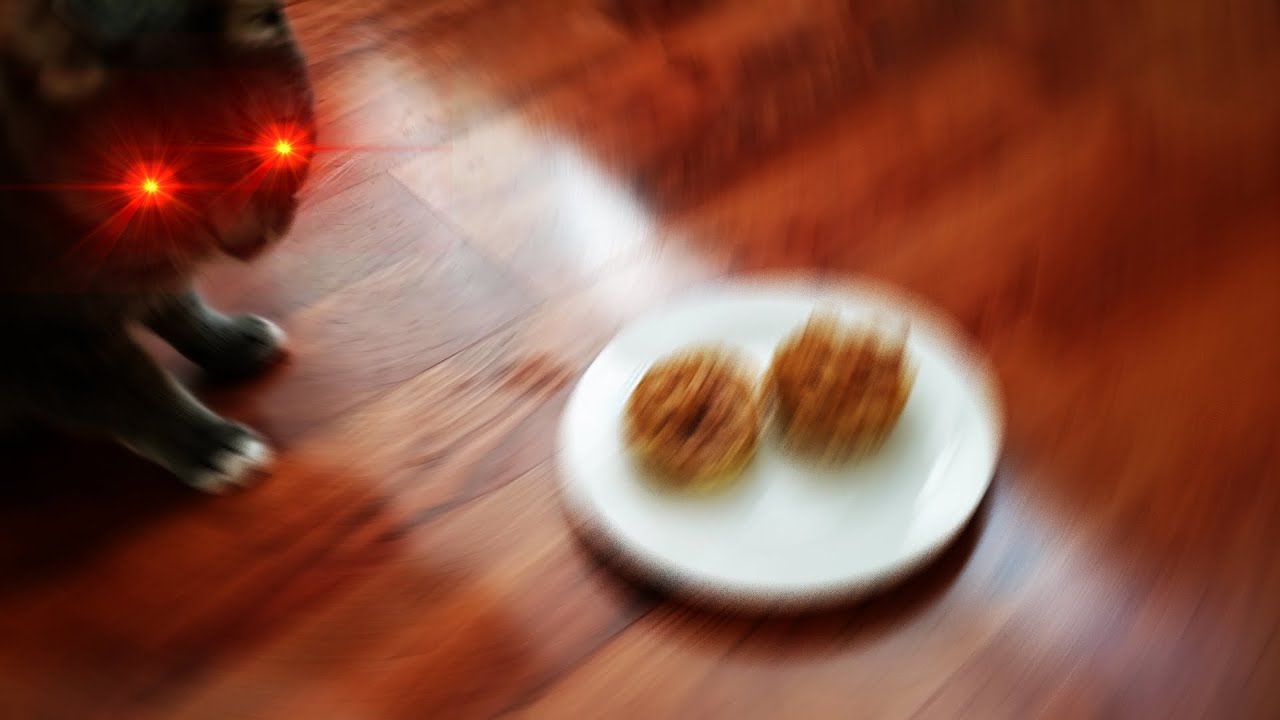making my bastard cat lil tuna cakes for her birthday - YouTube