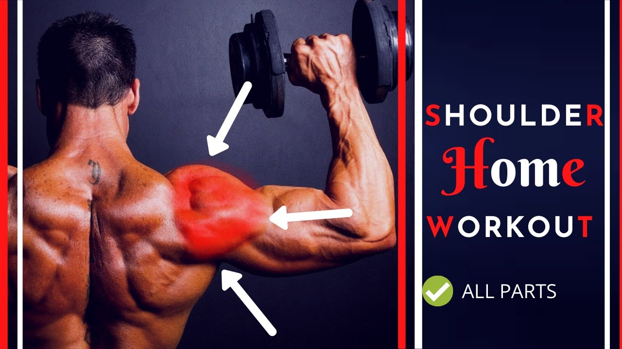 Best Shoulder Workout At Home | The Perfect Shoulder Workout In 2020 ...