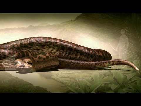 La Sachamama (MITO DE LA SELVA) - (PERU) - YouTube