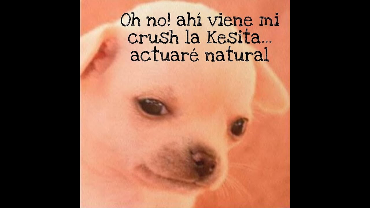 AVENTURA DEL PERRITU KESI KESI - YouTube