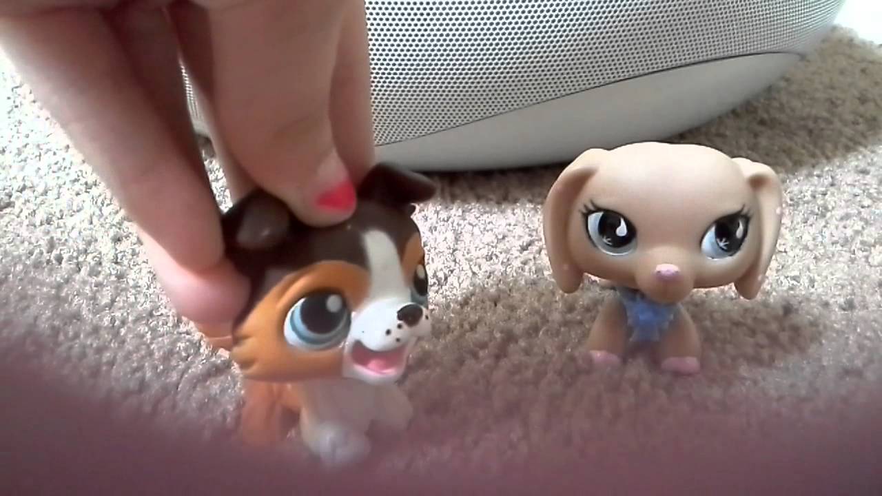 LPS Popular Babysitter - YouTube