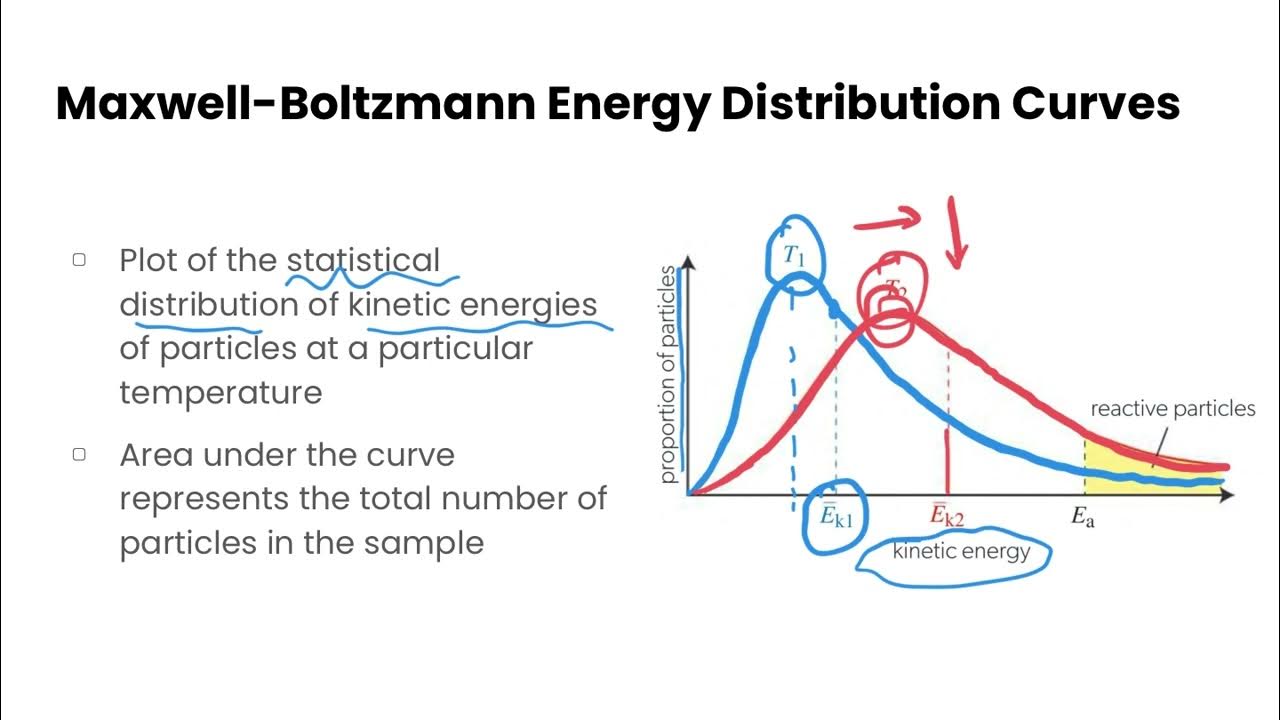 Maxwell-Boltzmann Energy Distribution Curves - YouTube