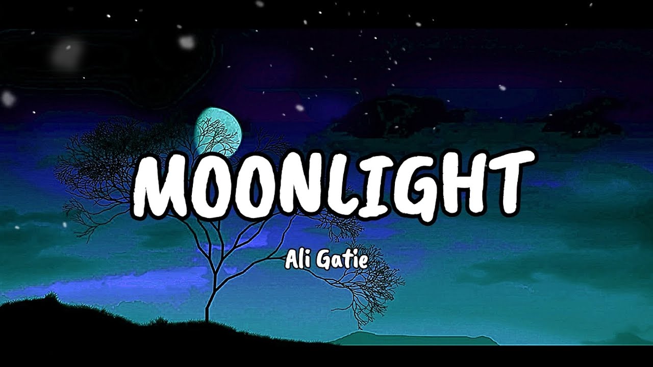 Ali Gatie - Moonlight (lyrics) - YouTube
