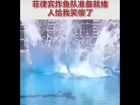 不是水花越大，分越高？有啥好笑别人的菲律宾炸鱼队 - YouTube