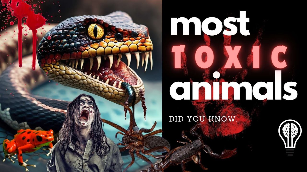 Don't TOUCH or EAT these MOST TOXIC animals! #toxic #venom - YouTube