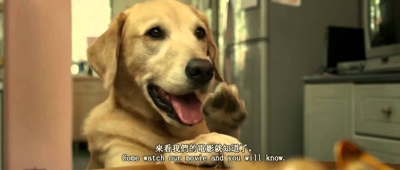 My Dog Dou Dou 我的狗蚪蚪 Teaser - YouTube