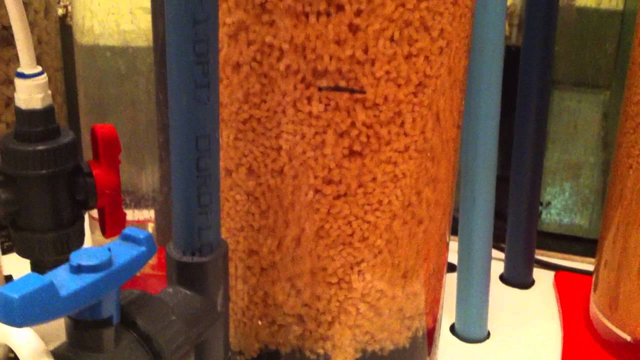 DIY vs Bio Pellet reactor - YouTube