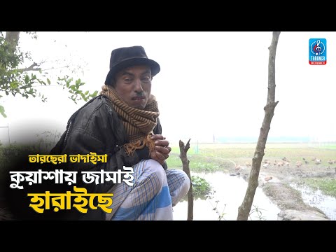 কুয়াশায় জামাই হারাইছে | Kuyashay Jamai Haraiche | তারছেরা ভাদাইমা | Vadaima New Comedy Koutuk  2021