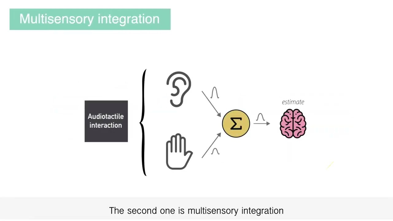 Opportunities for Multisensory Mid-air Interactions Featuring ...