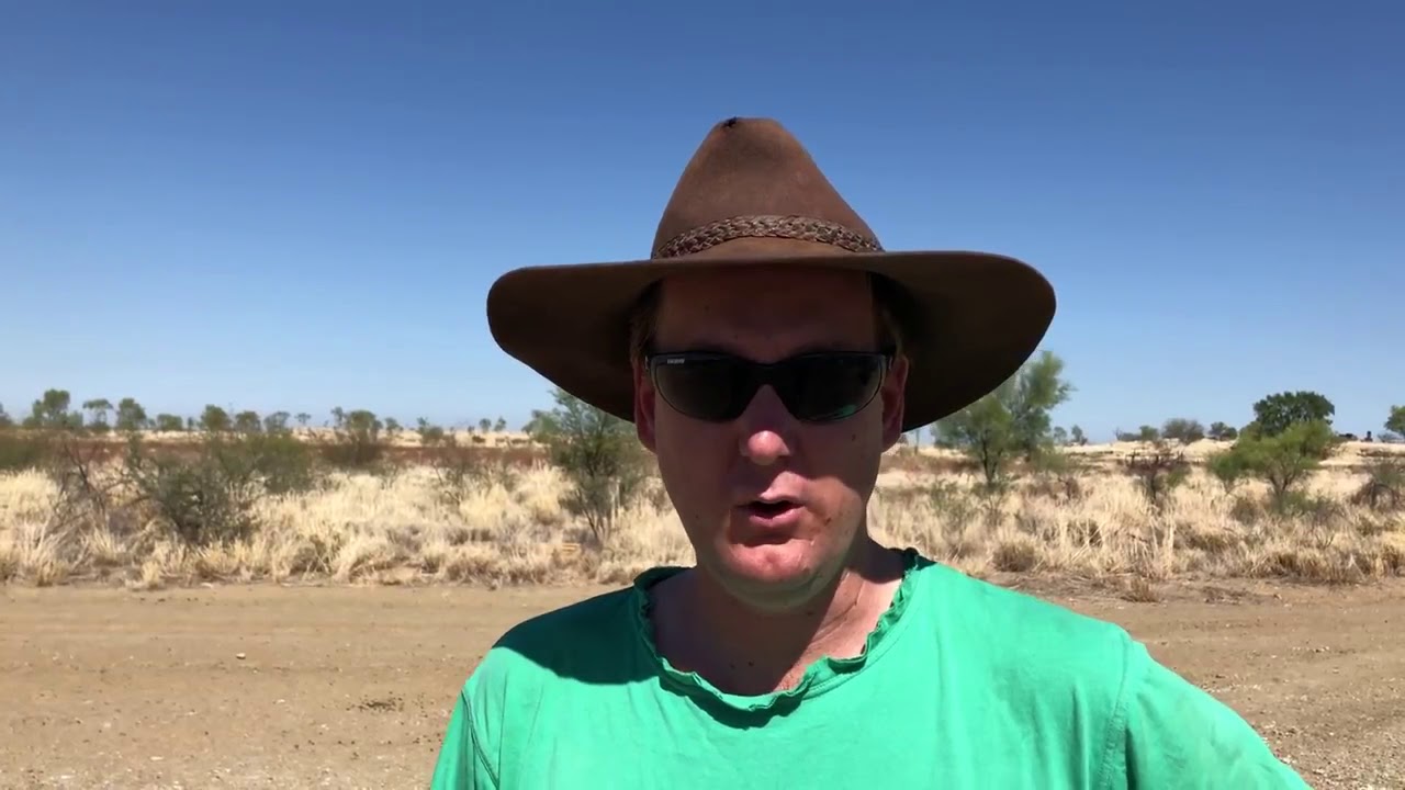 mOOvement - Will Harrington - YouTube