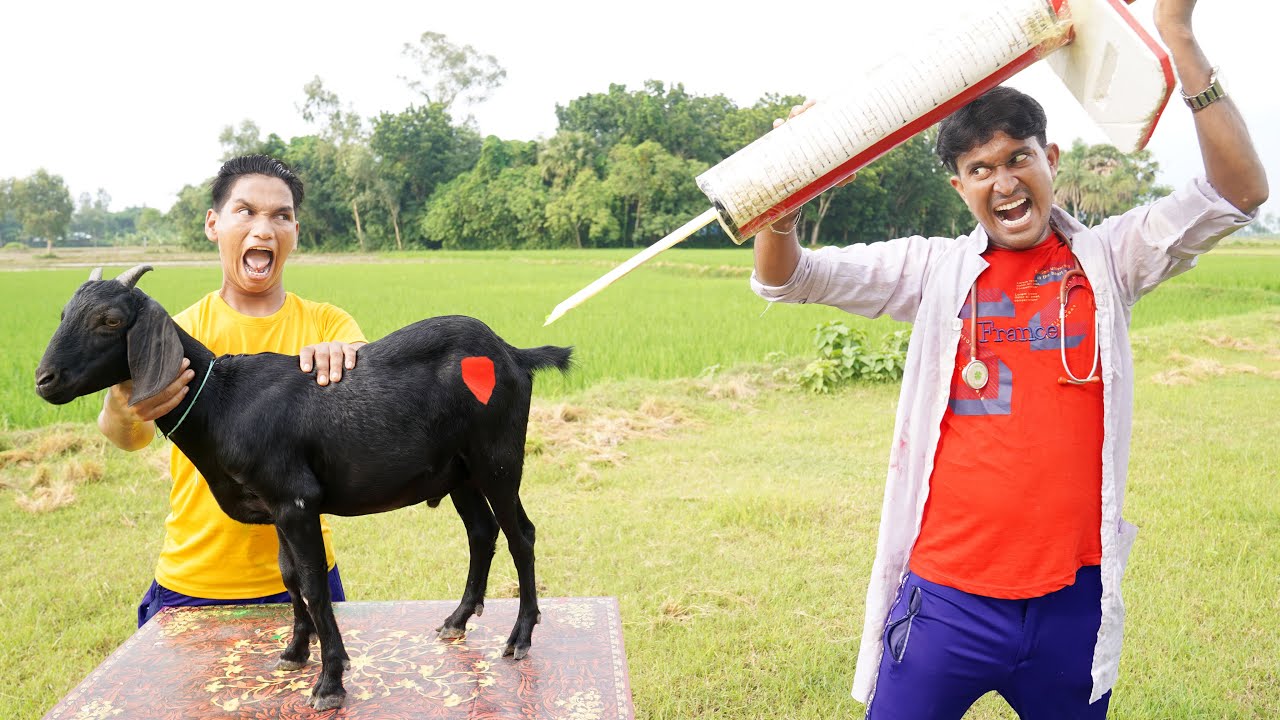 New Entertainment Top Funny Video Best Comedy in 2022 Episode 79 by ...