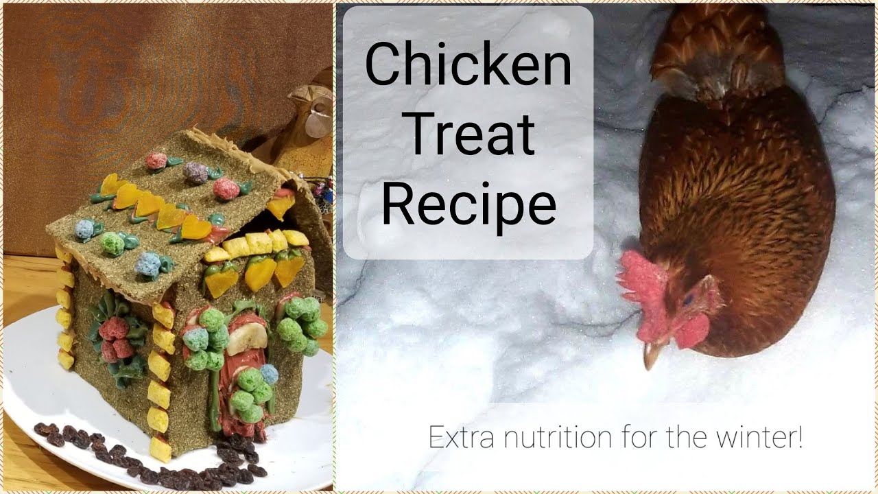 Chicken Treat Recipe supplemental nutrition in a fun cookie shape ...