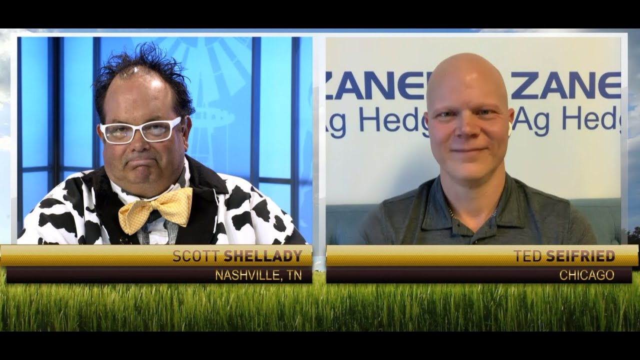 Ted Seifried joined RFD To Chat Expectations In Todays Report - YouTube