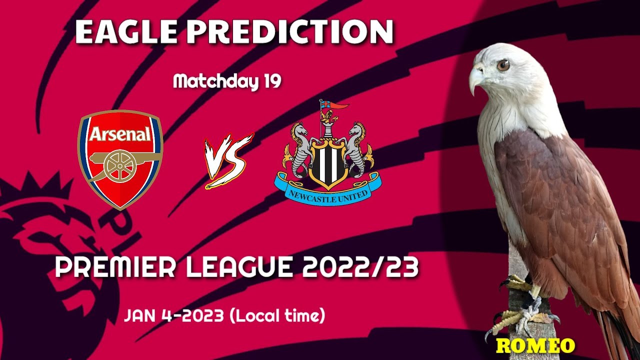 Arsenal vs Newcastle | Premier League 2022/23 | Eagle Prediction - YouTube