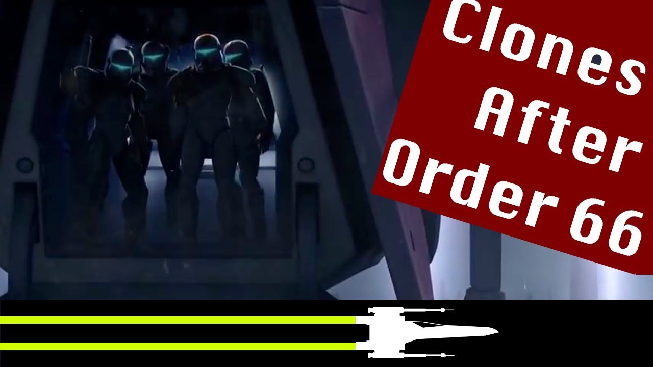 What did the Clone Troopers did After Order 66 and the End of the War ...
