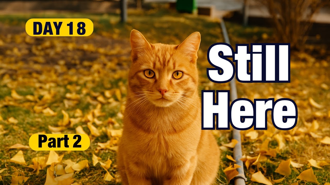 Still Here — Because Someone Stayed | Day 18 – Part 2 - YouTube