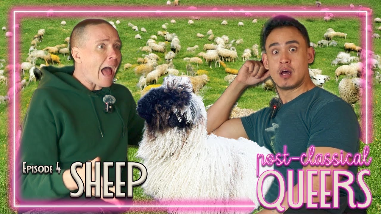 SHEEP | POST CLASSICAL QUEERS | Ep 4 - YouTube