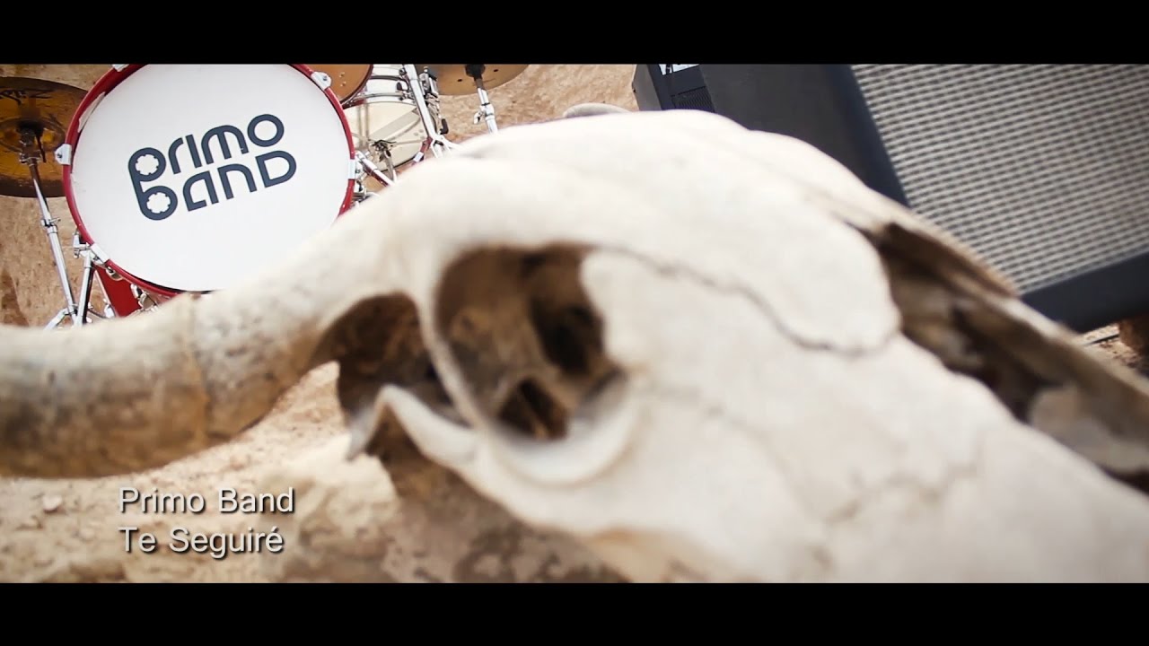 Primo Band - Te Seguiré (Video Oficial) - YouTube