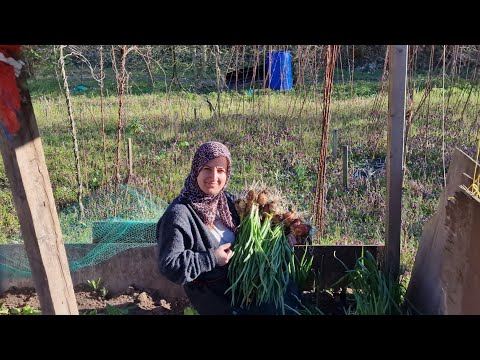 CANLARIM BEN PAZARA SOGAN SATMAYA GIDIYORUM 😊💯BANA beyeni bol yorum Cok TSK ederim 🥰