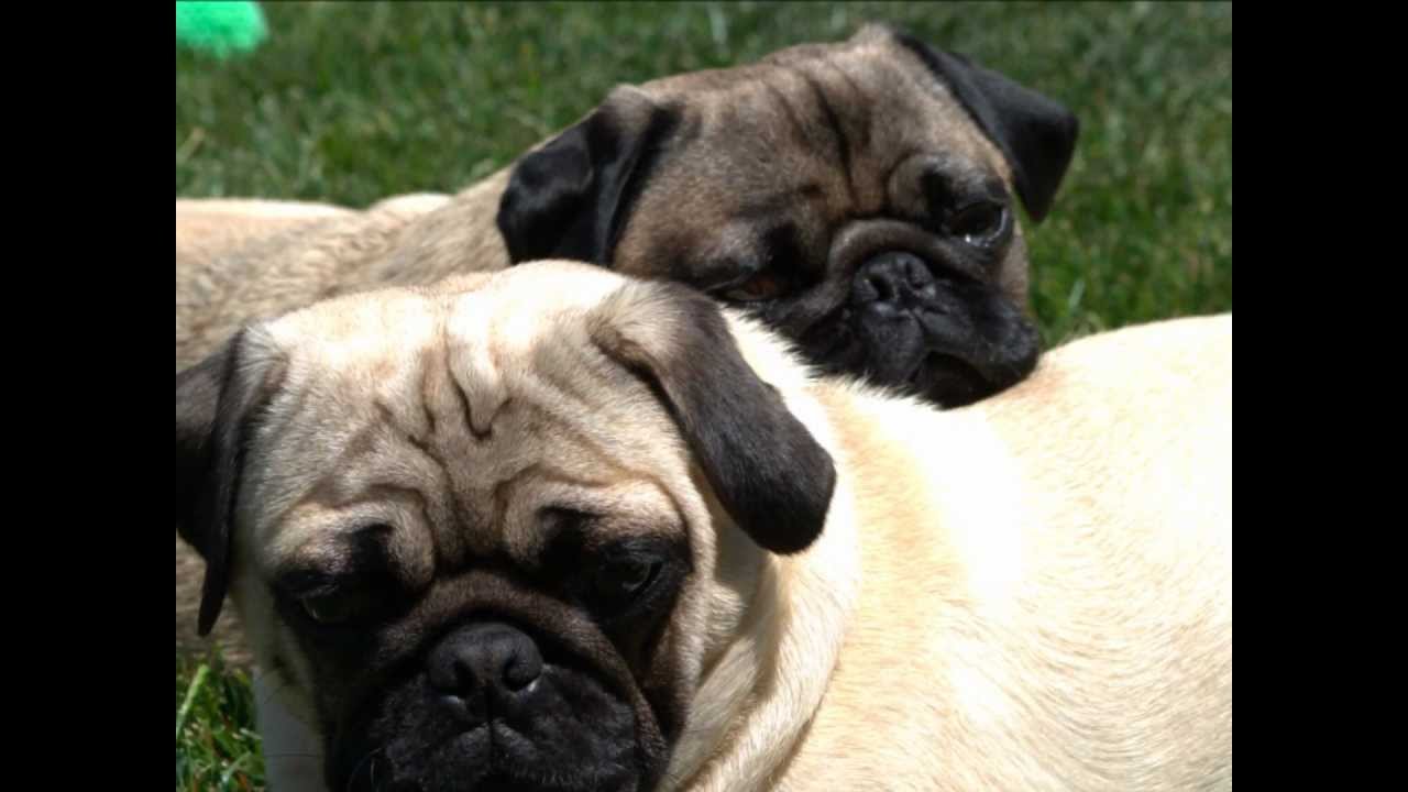 Uncle Kracker You Make Me Smile - YouTube