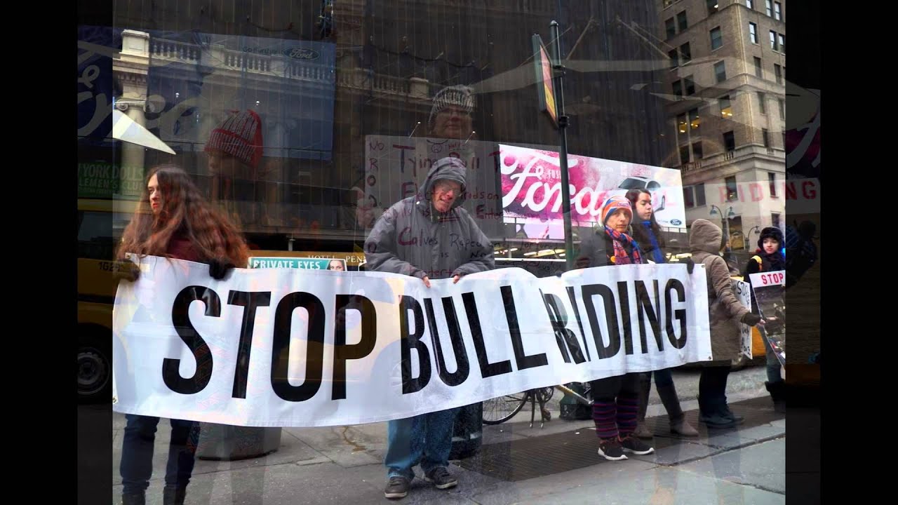 3-Day Bull Riding Protest! NYC-jan 17th 2016 - YouTube