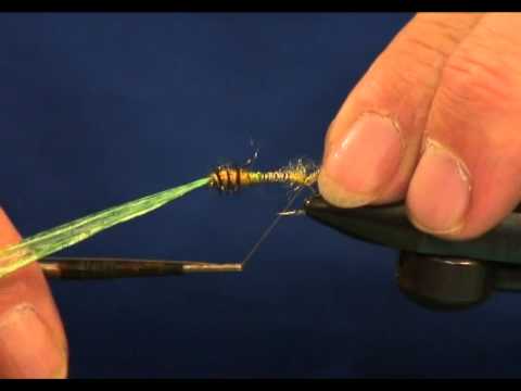 Fly Tying Rhyacophila Larvae from Roman Moser - YouTube