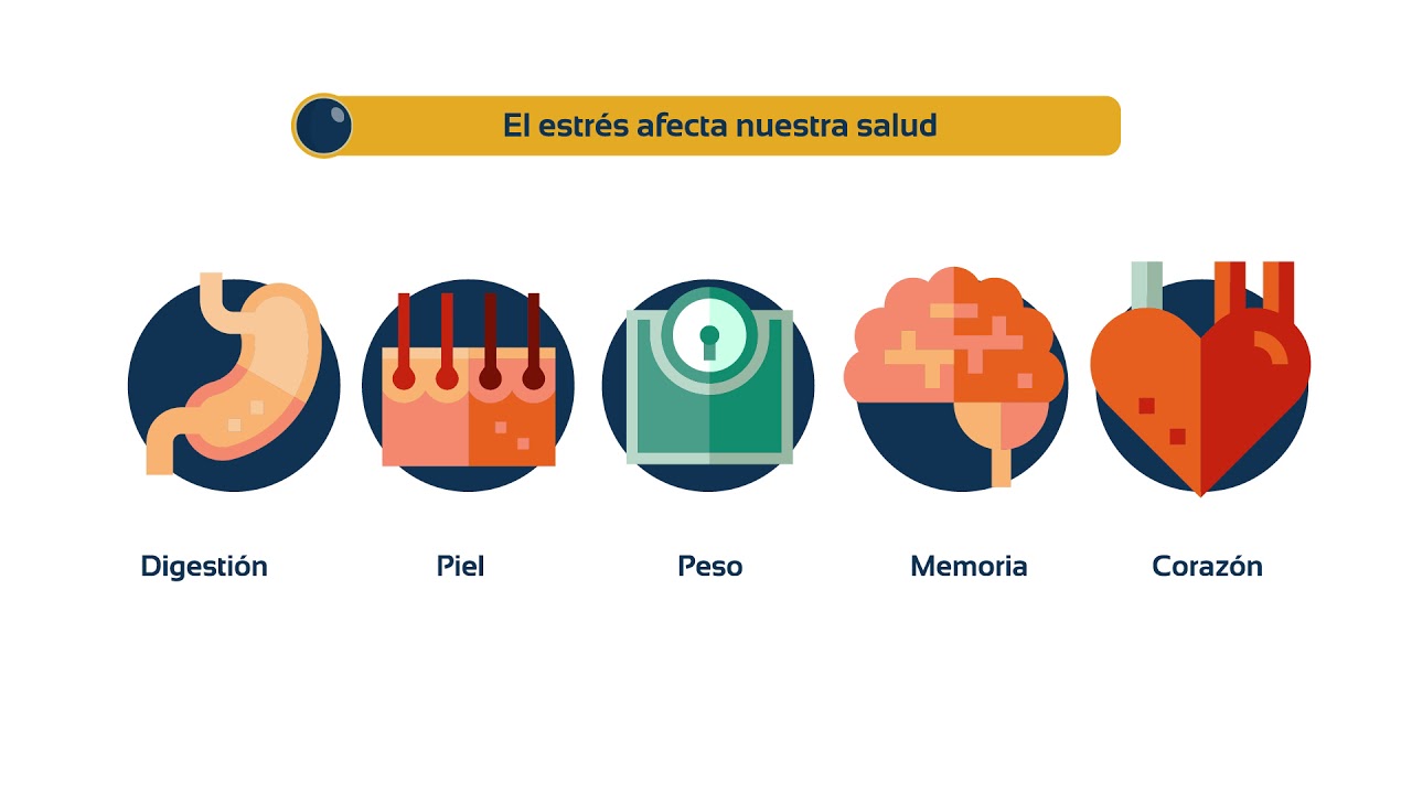 Tips para prevenir el estrés - YouTube