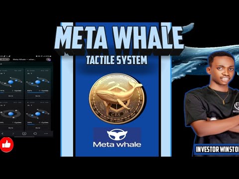 META WHALE 🐳 SMART CONTRACT, METAFORCE, HOLIVERSE - YouTube