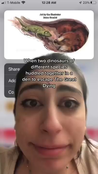 What Is The Triassic Cuddle Youtube