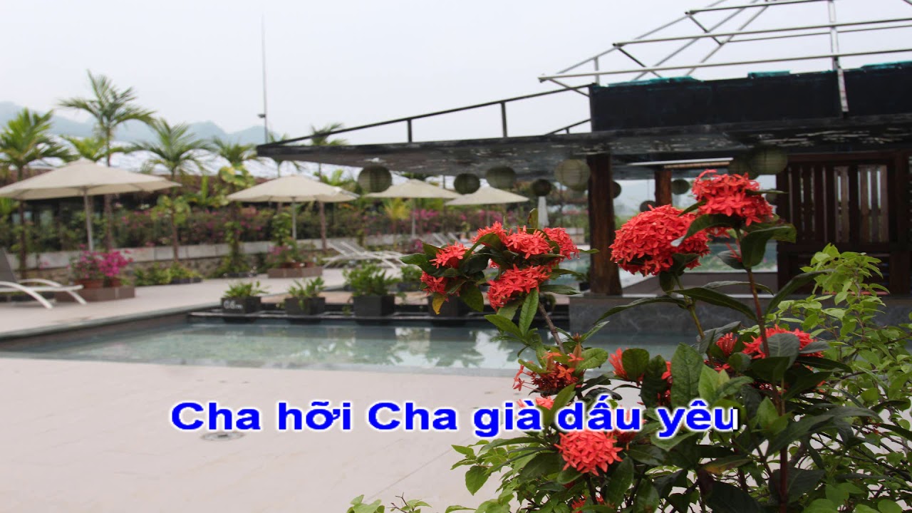 Tình Cha Karaoke Youtube
