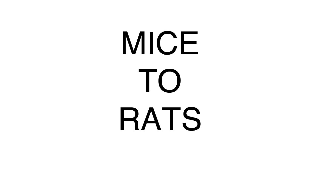How to transform Mice into Rats - YouTube