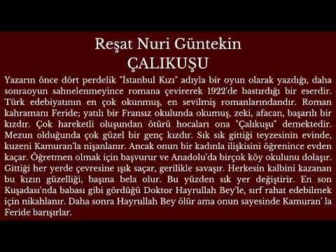 AYT EDEBİYAT Eser Özetleri | Reşat Nuri Güntekin ÇALIKUŞU