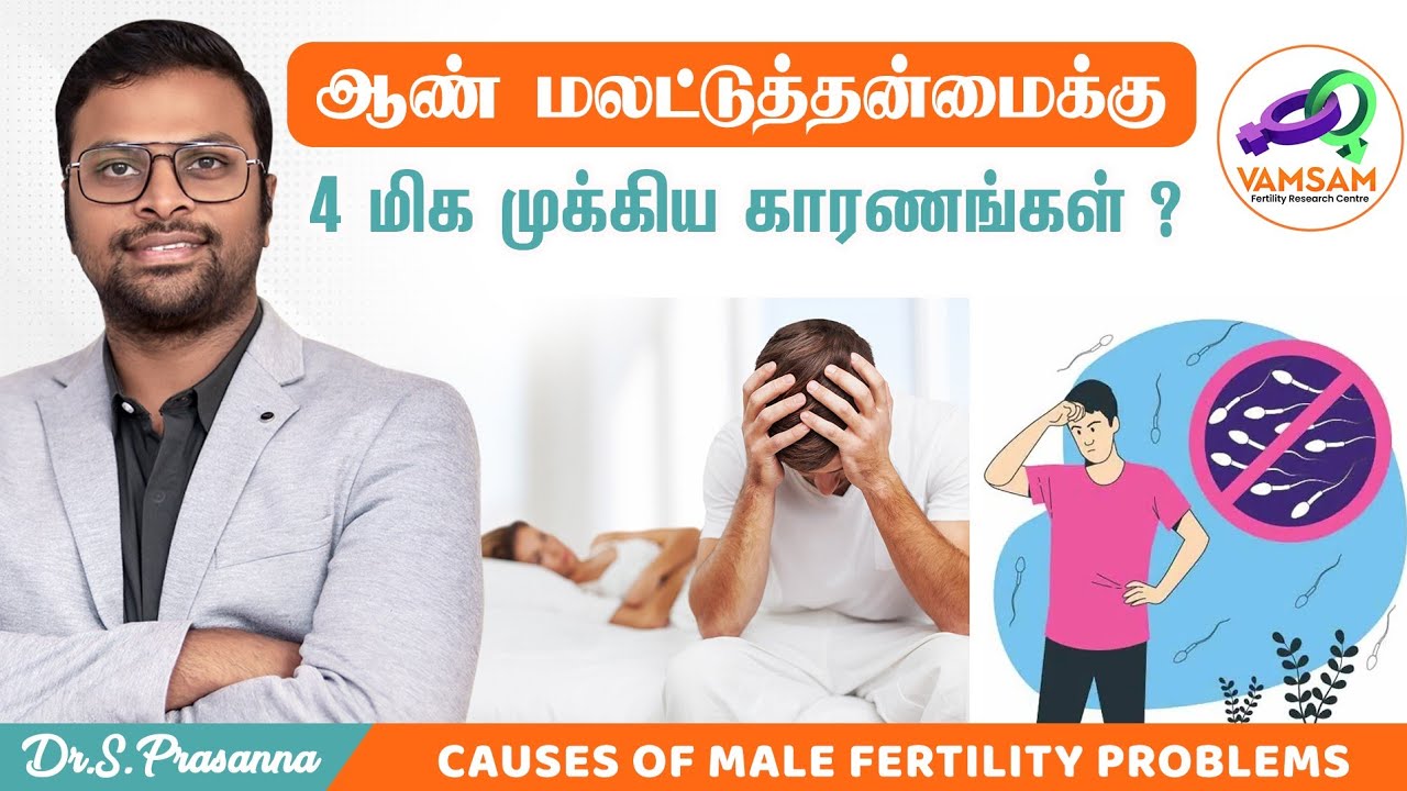 ஆண் மலட்டுத்தன்மைக்கு 4 முக்கிய காரணங்கள் ? Causes Of Male Fertility ...