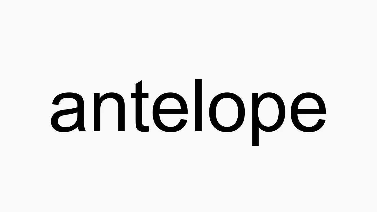 How to pronounce antelope - YouTube