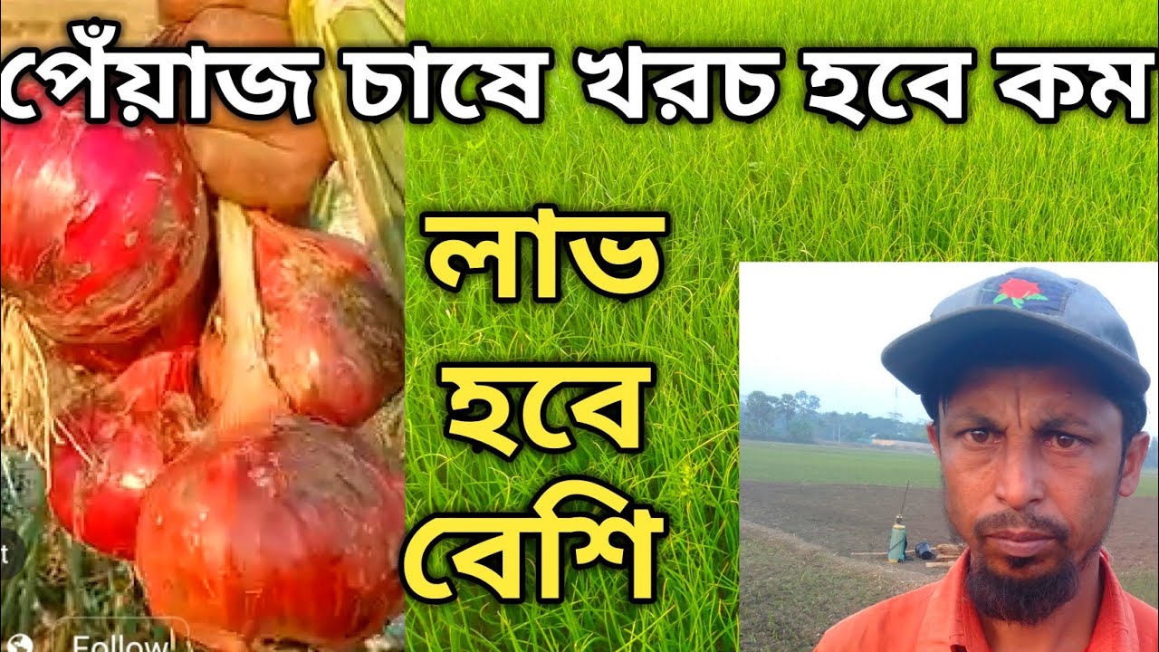 এই ঔষধ ব্যবহারে পেঁয়াজে খরচ হবে কম। লাভ হবে বেশি। Khan agro form ...